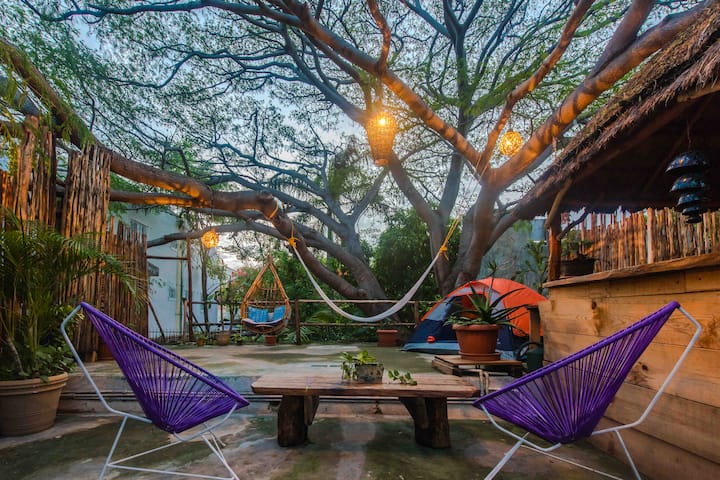 Casa En El Centro De Cancún: Casaárbol. - Cancún