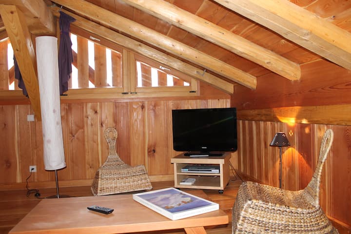Le Larzet, Appartement Dans Un Chalet à Chamonix - Chamonix-Mont-Blanc
