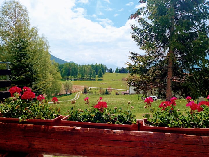 La Montagna A Casa Tua. Appartamento Silene - Chamois