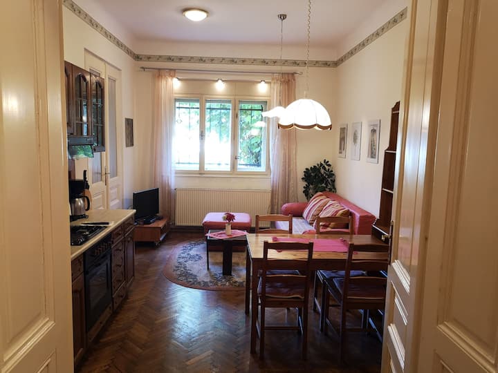 Charming Apartment On Best Location - Slovénie