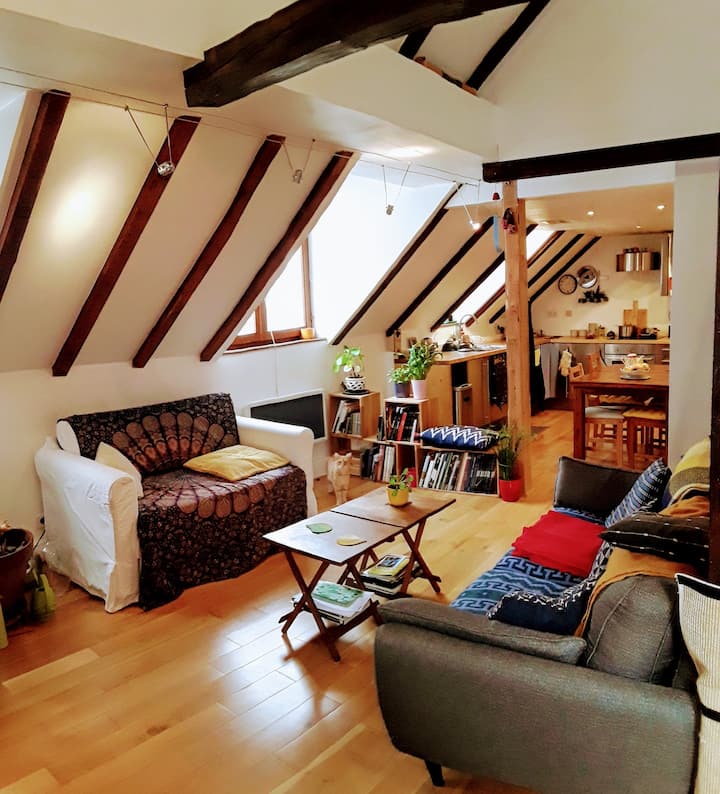 Ch Dans Appartmt Chaleureux
Strasbourg-neudorf - Strassburg