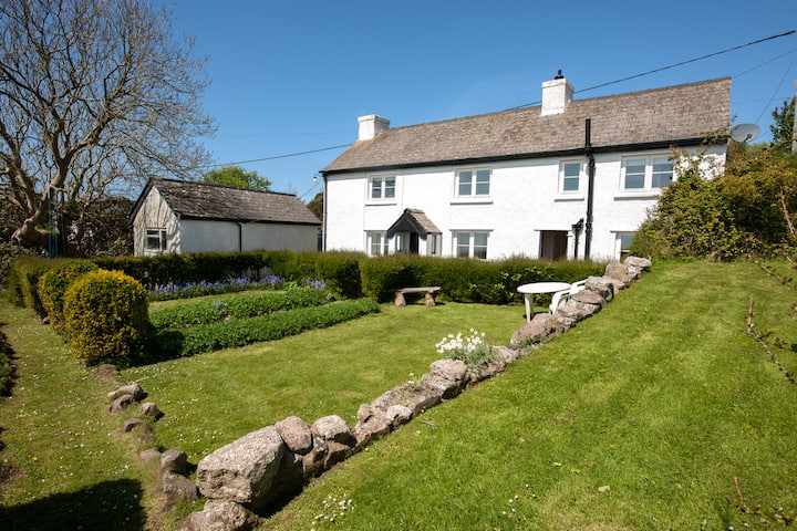 Sheep Green - Llangennith