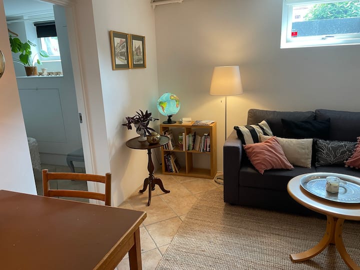 Lejllighed I Villa Med Stor Have - Lige I Centrum - Odense