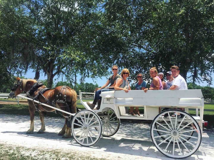 Red Gate Farms Hayloft-10 Min To Historic Savannah - Savannah, GA
