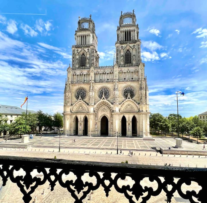 Grand Appartement Luxueux - Superbe Vue Cathédrale - 奧爾良