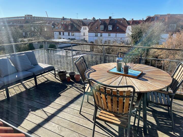 Big Charming Flat, With Little Charming Cat - Kopenhagen