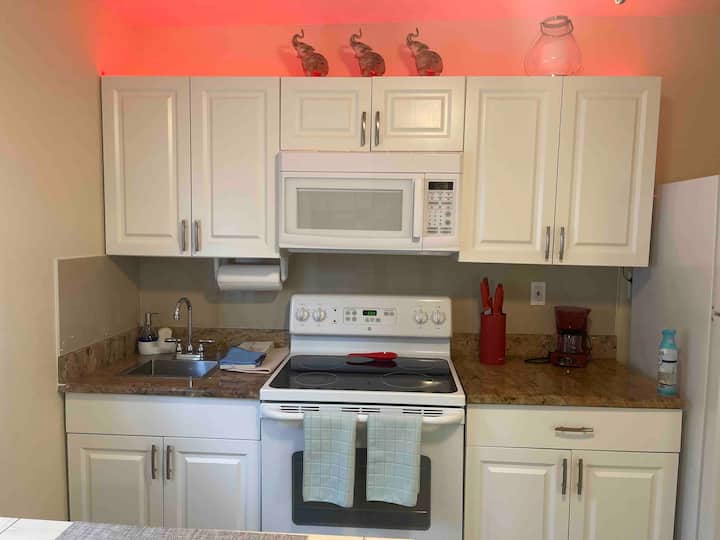 Luxury Resort Pool Retreat Near Stadium & Airport - Tampa, FL