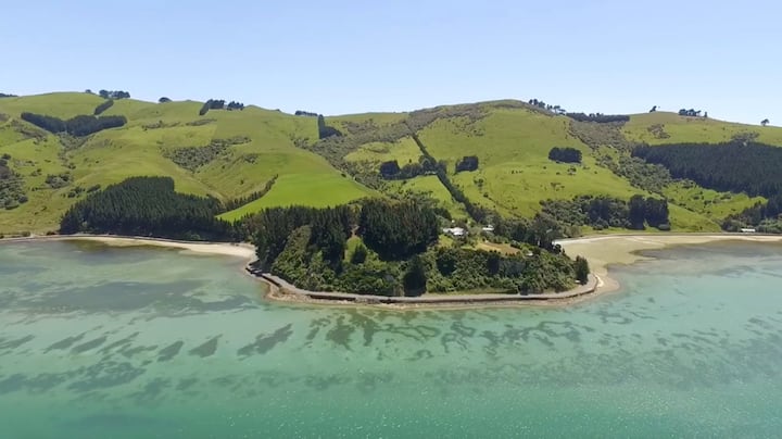 Waitati Vacation Rentals & Homes - Otago, New Zealand | Airbnb