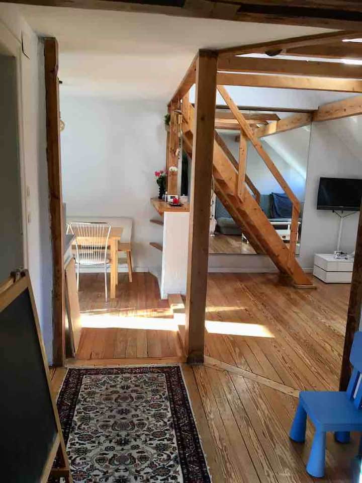 Appartement Proche Centre Ville De Strasbourg - Strasbourg