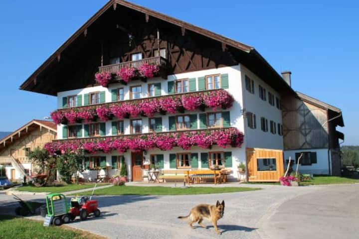 Ferienwohnung Lippenhof - Teisendorf