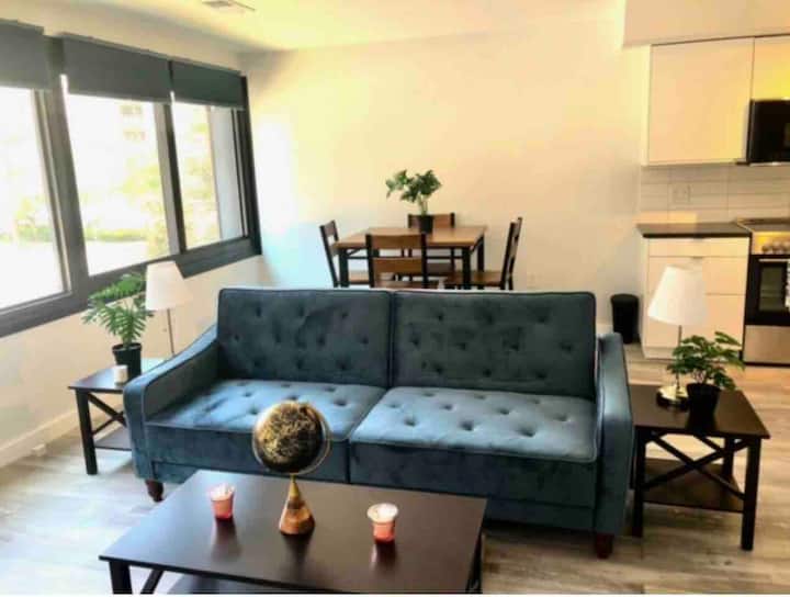 New Exquisite Condo Wifi Downtown Silver Md - Silver Spring, MD
