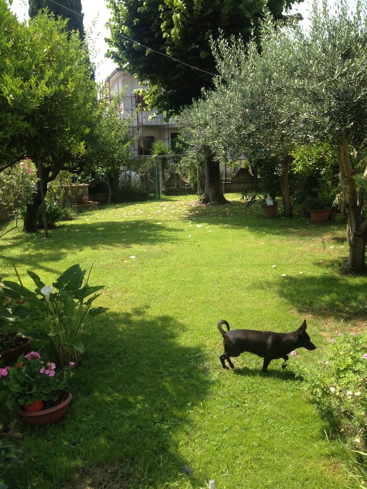 Into The Nature - Eboli