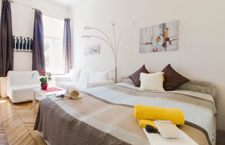 Beautiful Apartment Free Car Garage - Budapest