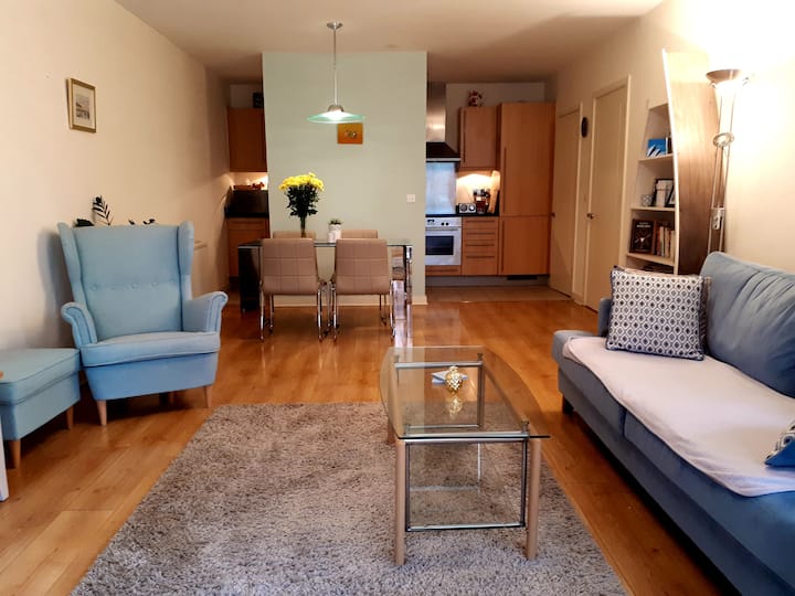 Luxury Apartment In Dublin City's Smithfield - Dublin