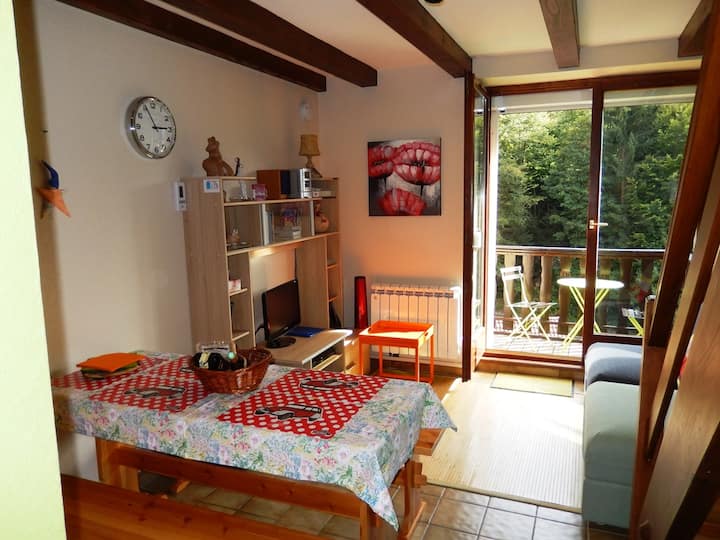 Centre Alsace En Moyenne Montagne / Appart  3-4 P - Barr