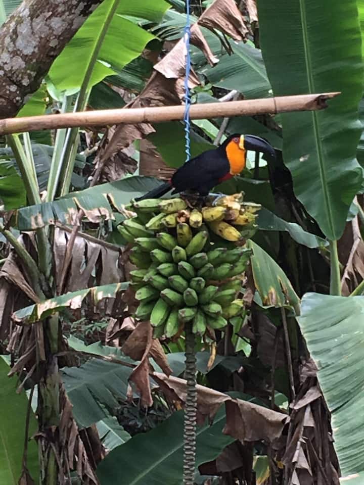 Loft Na Roça - Espírito Santo (estado)