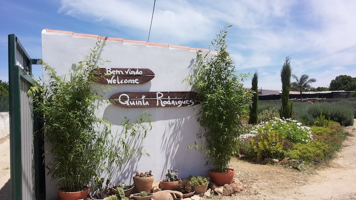 Apart Mar/quintarodrigues 3km Beach - Faro District