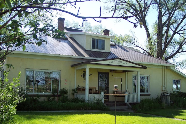 Holden House, The Flower Room - Alamosa, CO