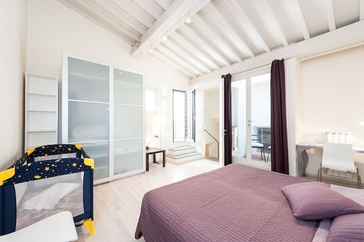 Elegant Historic Apartment With Private Terrace - Florence