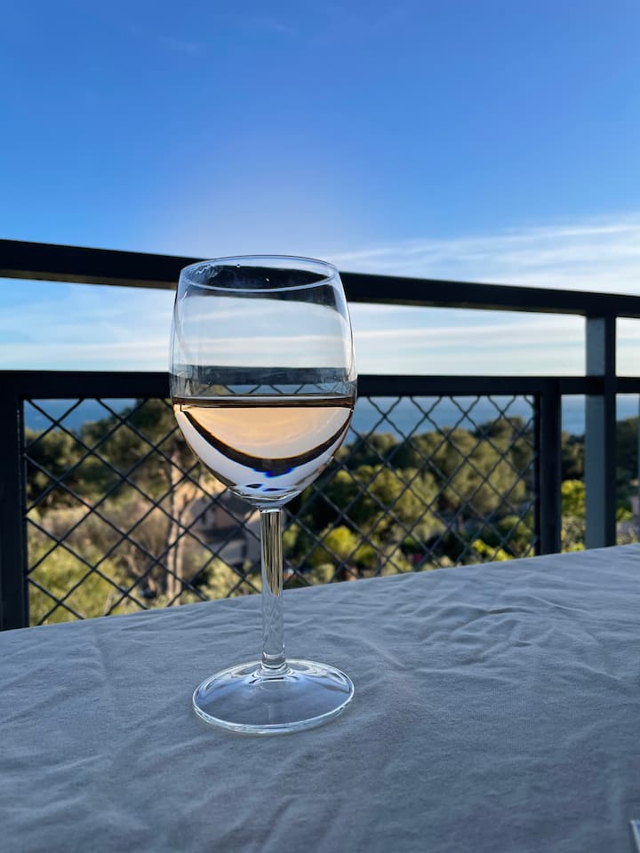 Vue Imprenable Sur La Mer. Appartement 2 Pièces. - Carqueiranne