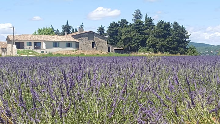 Grande Maison Dans La Drôme - Montélimar