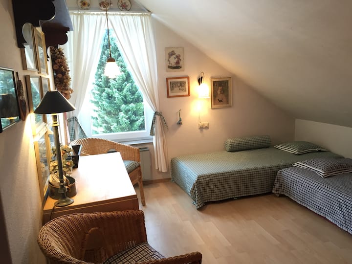 Sunnyharzerapartment-winter Fun! - Schierke