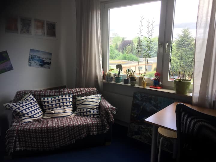 Single Room With Own Bath And Rooftop Pool&sauna - Heidelberg