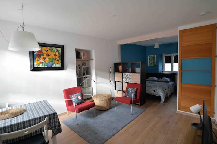 Casa Lucia Studio 30m2  Au Coeur D’obernai ❤️  3⭐️⭐️⭐️ - Obernai