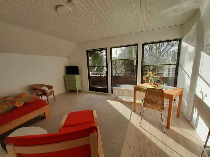 Freundlich-helles Privatzimmer Mit Eigenem Eingang - Mainz