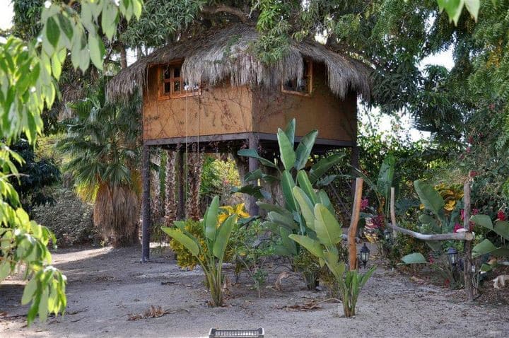Tree House On Rancho Danza Del Sol - Todos Santos
