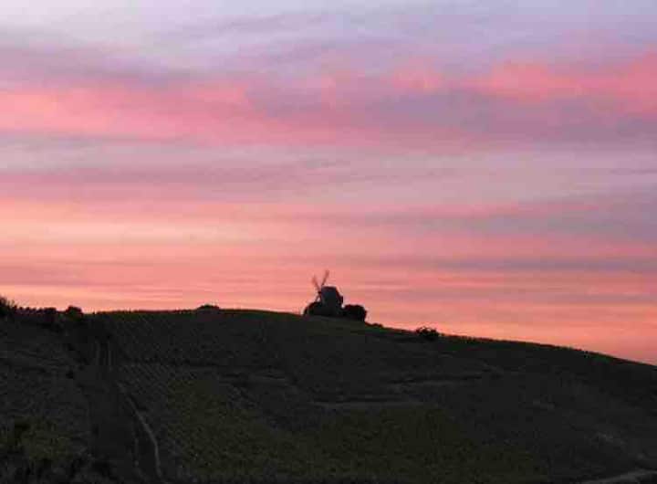 🍇Gîte Pour 4/6 Personnes En Champagne!🍇 - Zig Zag Parc