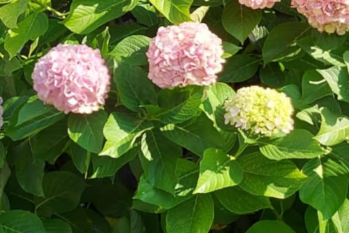 Luminoso Apartamento En Noja, A 5 Min De La Playa. - 坎塔布里亞