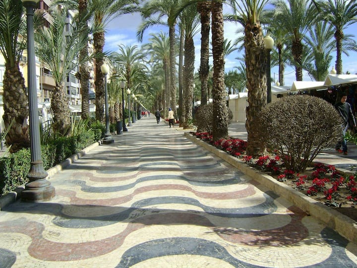 Arya Alicante - Alicante