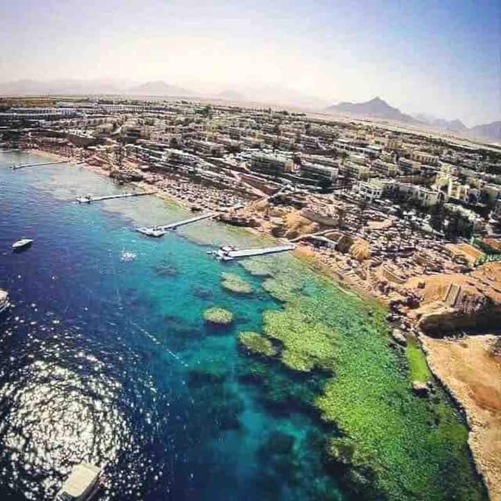 Luxury Chanel Sea Front Studio In Domina Coral Ba - Charm el-Cheikh