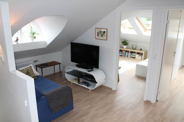 Rooftop Reykjavik With Balcony - Reykjavík