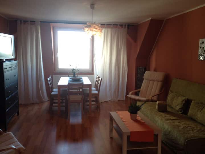 Beautiful 4 Room Apartment L14 - Dresden