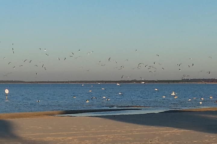 Détente Au Bord Du Lac - Lac d'Hourtin