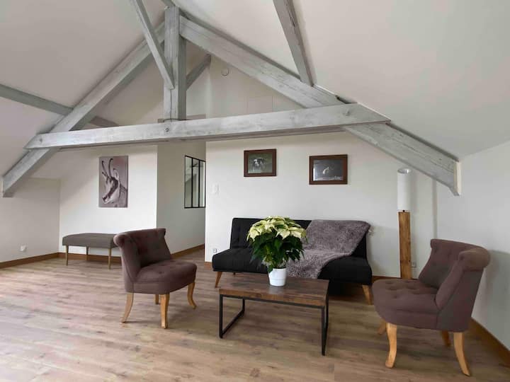 Appartement Idéal Déplacement Professionnel, Wifi - Gérardmer