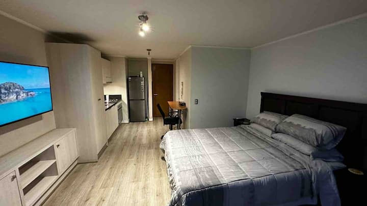 Encantador Departamento Centro De Santigo. - Santiago, Chile