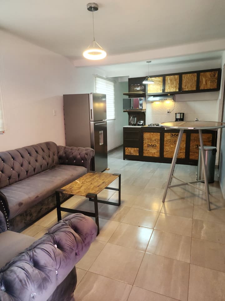 Departamento En El Chopo - Mexico City