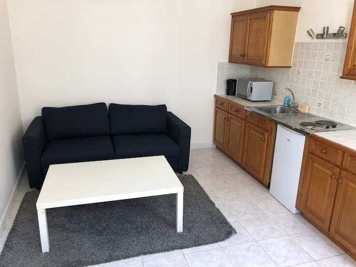 Appartement Fontainebleau 21m2 - Fontainebleau