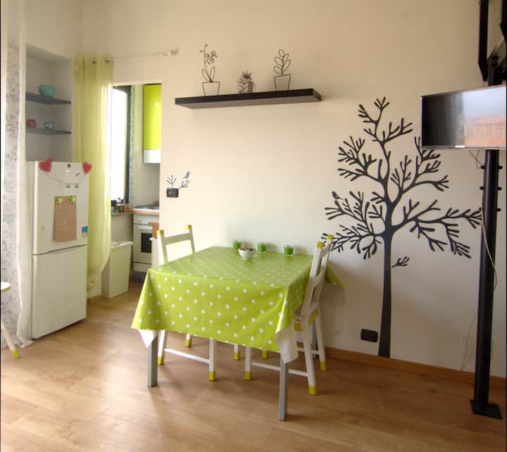 Accogliente E Luminoso Al 9 Piano - Turín