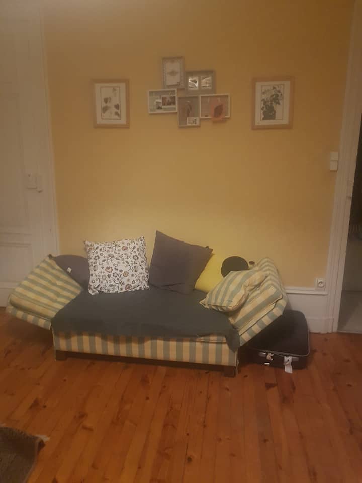 Appartement 19° Avec Toutes Commodités. - Saint-Étienne