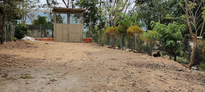 Durmiendo En Medio Del Bosque - Pitalito