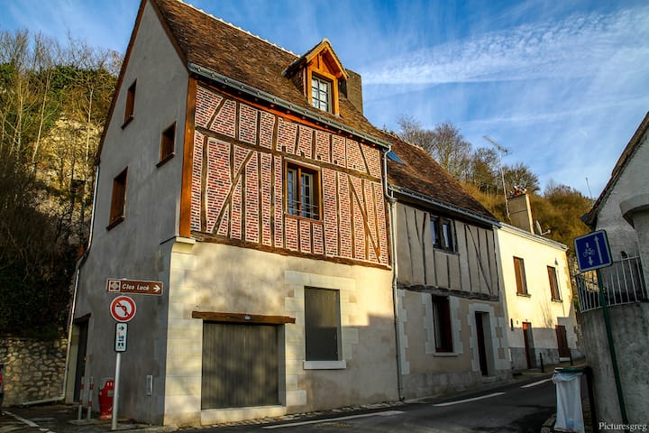 Tortue Terrasse : Maison De Charme Coeur D'amboise - Amboise