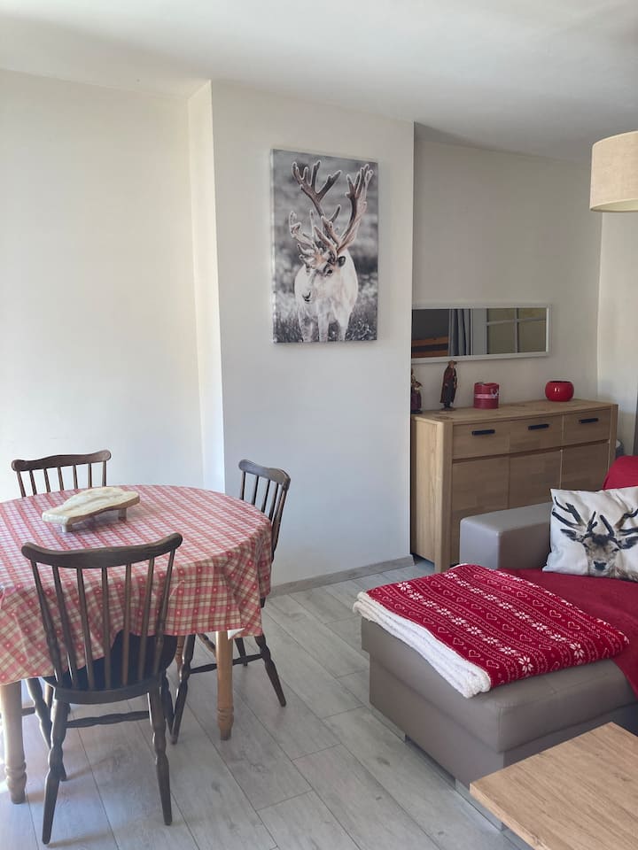 Charmant Appartement Au Cœur De Barcelonette - Barcelonnette