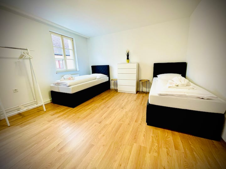 Apartment Goldschmied - Roth