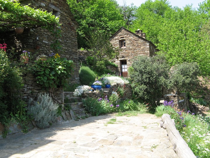 Gîte, P.n. Cévennes 10 Personnes - Pont-de-Montvert-Sud-Mont-Lozère