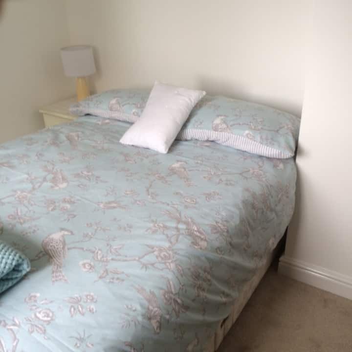 Single Room In Modern House. Own Bathroom. - Hastings