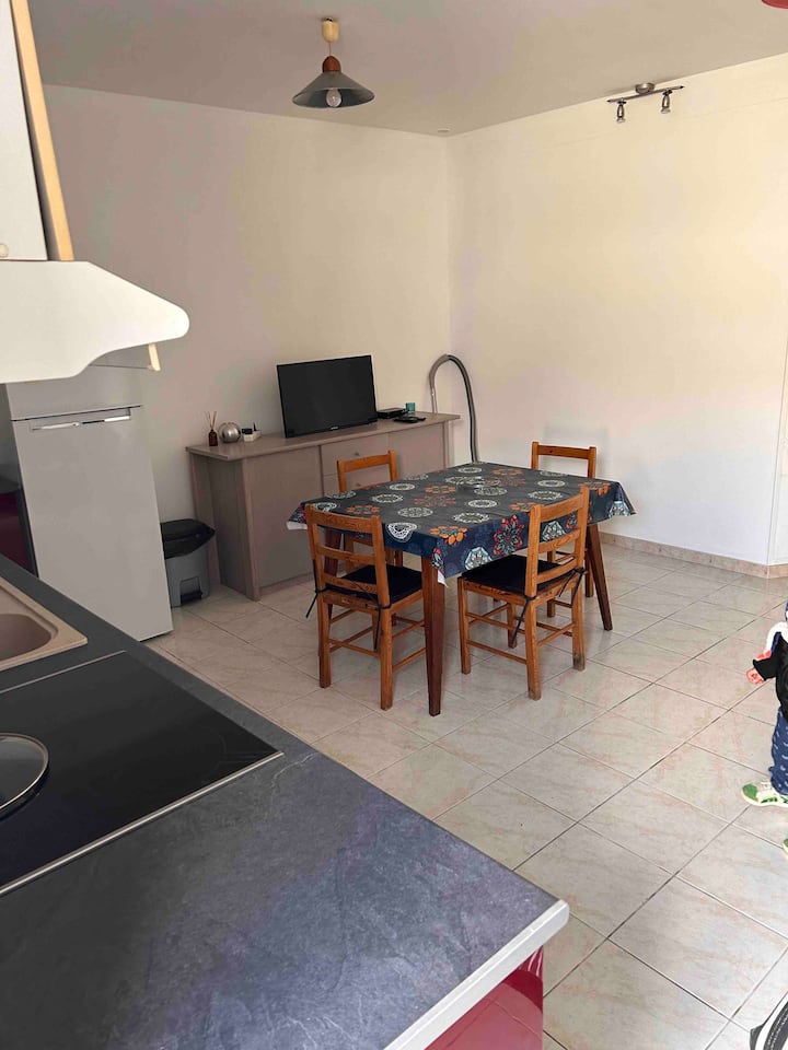 Appt Stgeorges Didonne Plein Centre Ville - Saujon